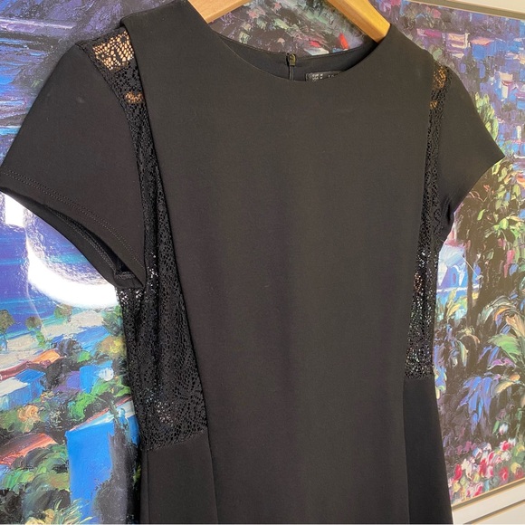 Zara | Dresses | Zara Trafaluc Bodycon Lace Cutout Dress | Poshmark